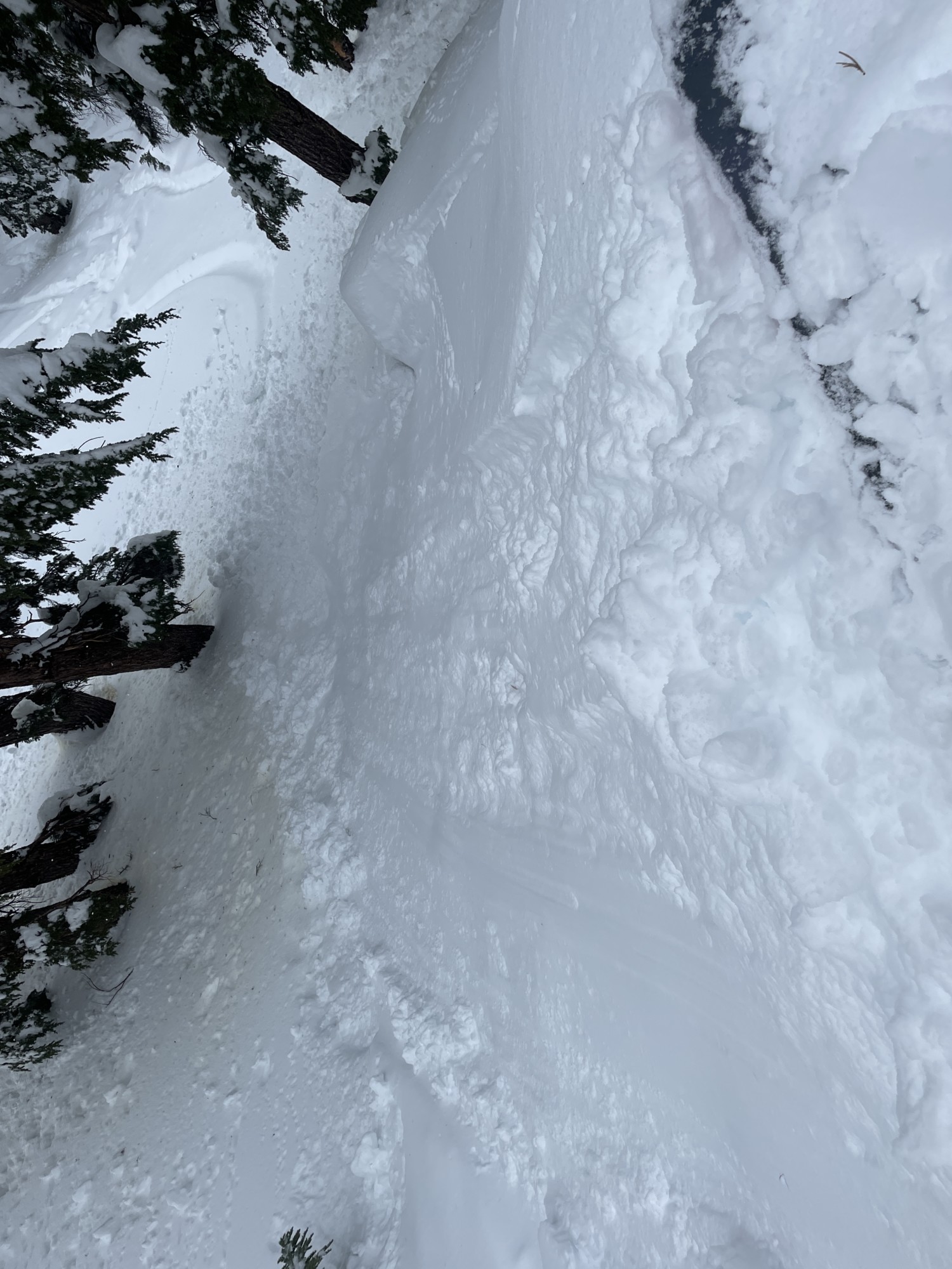 Eastern Sierra Avalanche Center » Pro Observation