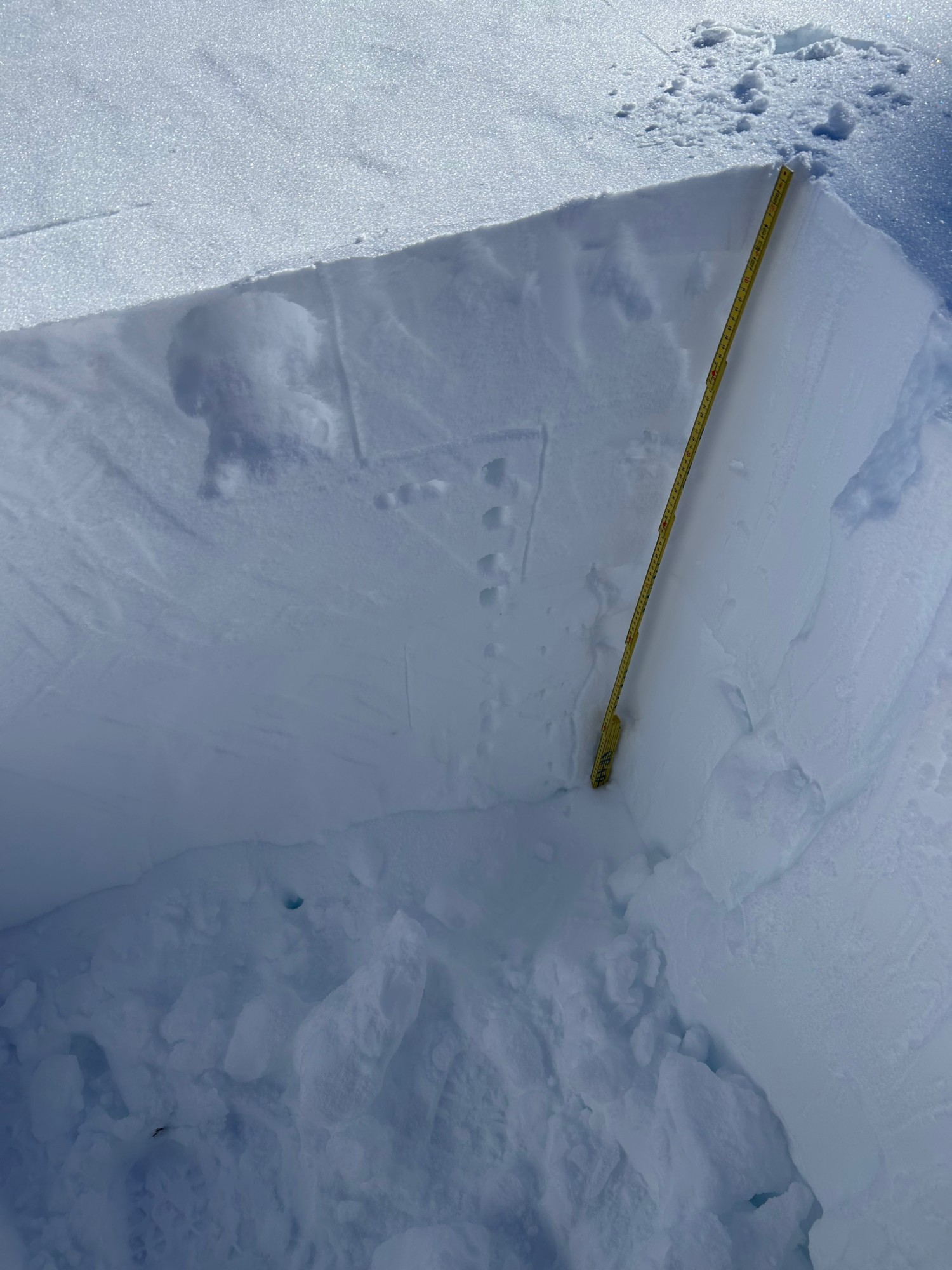 Eastern Sierra Avalanche Center » Pro Observation