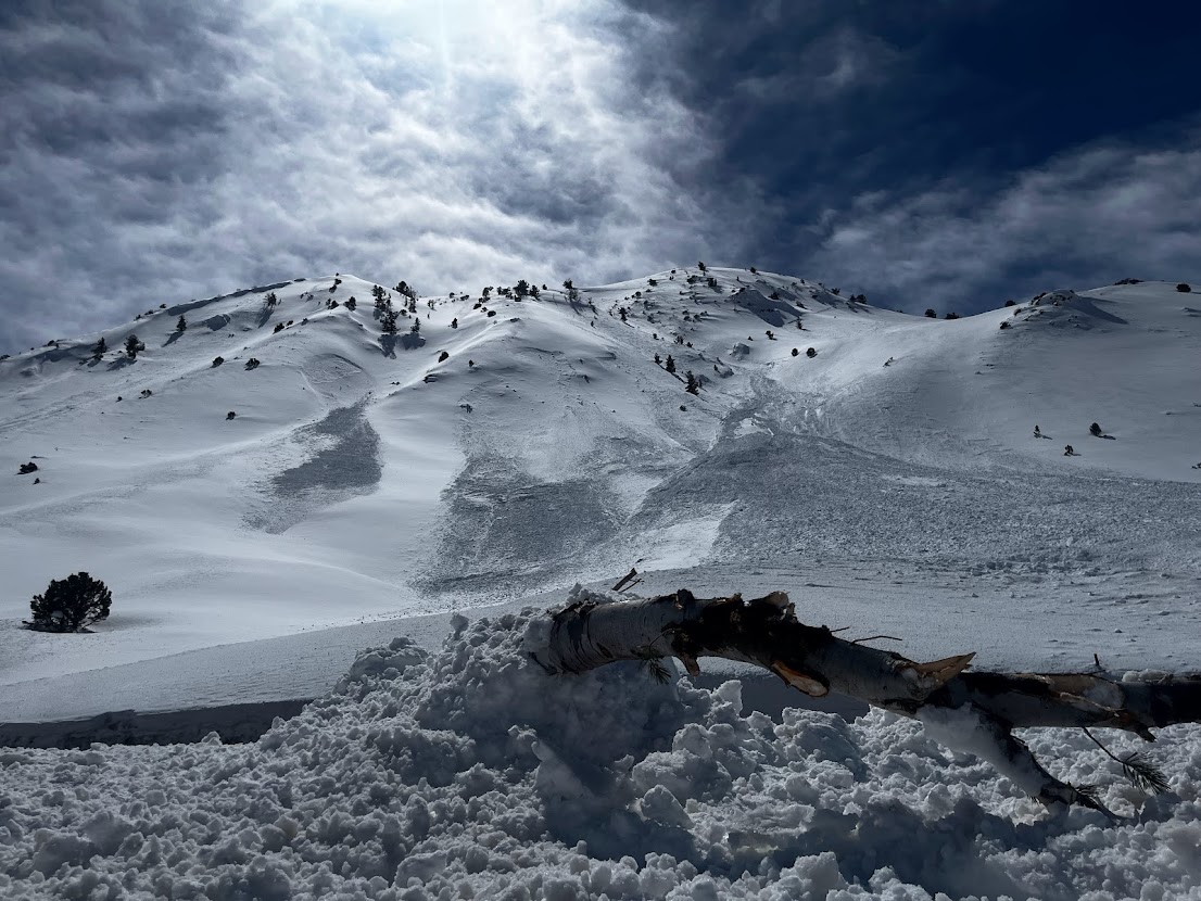 Eastern Sierra Avalanche Center » Pro Observation